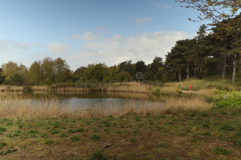 A Windy Spring Day at Wells-next-the-sea in Norfolk Stock Photo - Image ...
