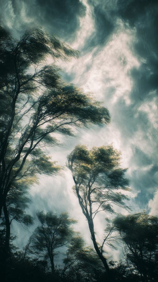 Windy Trees Swaying Under Dramatic Skies with Dynamic Lighting Effects ...