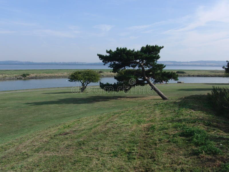 Windy Wild Place stock image. Image of grass, deserted - 156790473