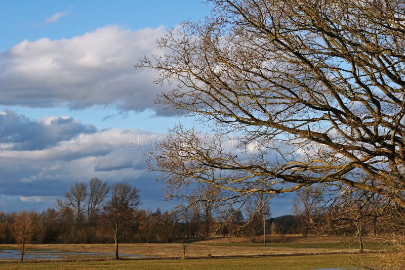 Windy Winter Tree Landscape Stock Image - Image of solitude, sunset ...