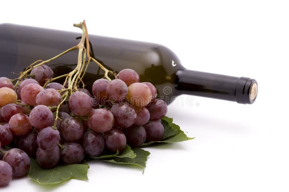 Wine stock image. Image of alcohol, vine, vitis, wine - 11143171
