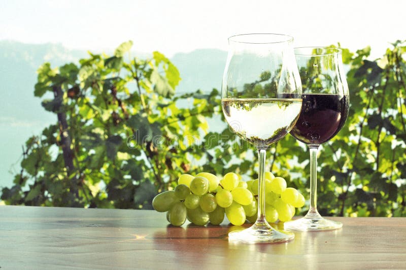 Wine ad grapes. stock image. Image of bunch, basket, agriculture - 50548269