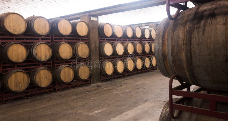 Wine Ageing Process in Wooden Barrels at Winery Stock Photo - Image of ...
