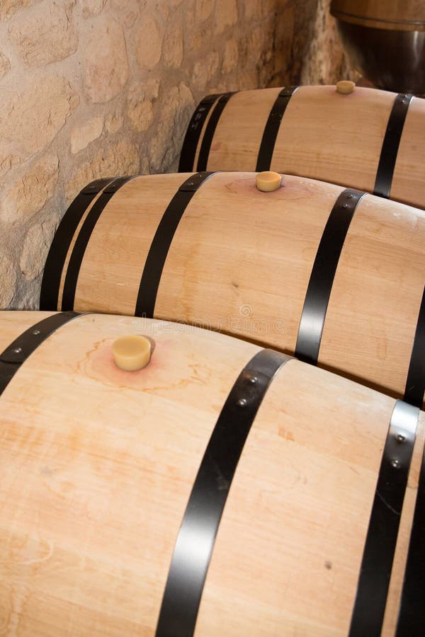 Wine Aging in Barrels Cellar Wood Bordeaux Stock Image - Image of field ...