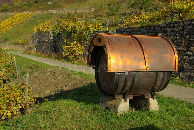 Wine barrel stock image. Image of fall, wine, viticulture - 7671331