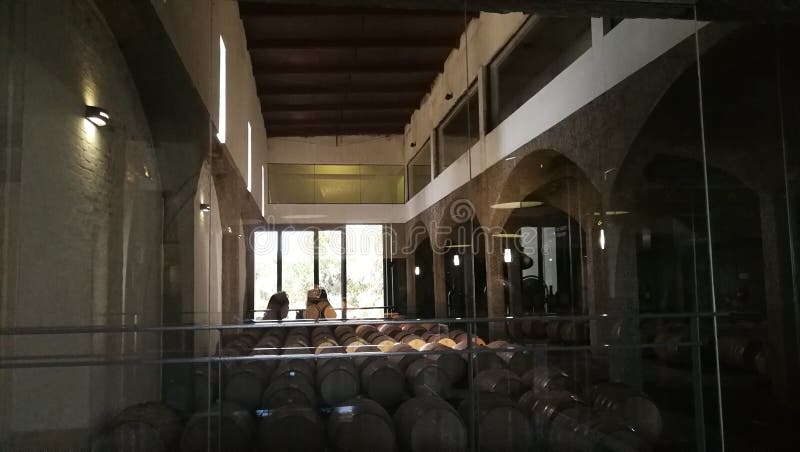 1,089 Maturation Process Stock Photos - Free & Royalty-Free Stock ...