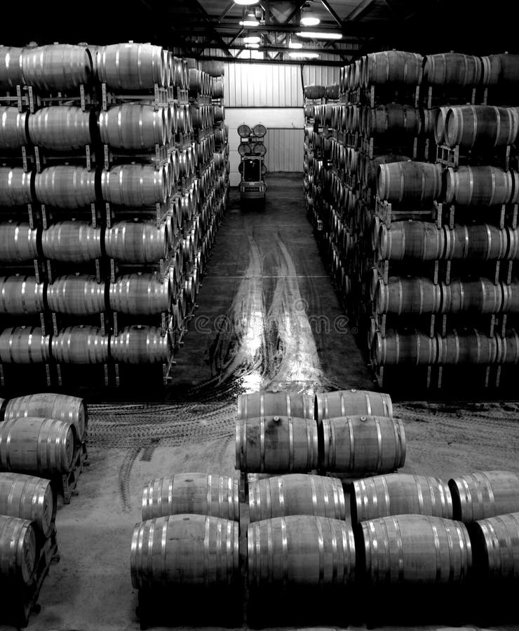 Wine Barrel Warehouse stock image. Image of storage, cylinder - 3907775
