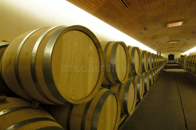 Wine Barrels stock image. Image of sepia, interior, vineyard - 13283343
