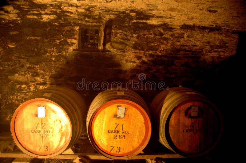 Wine barrels stock photo. Image of taste, cellars, wine - 2204278