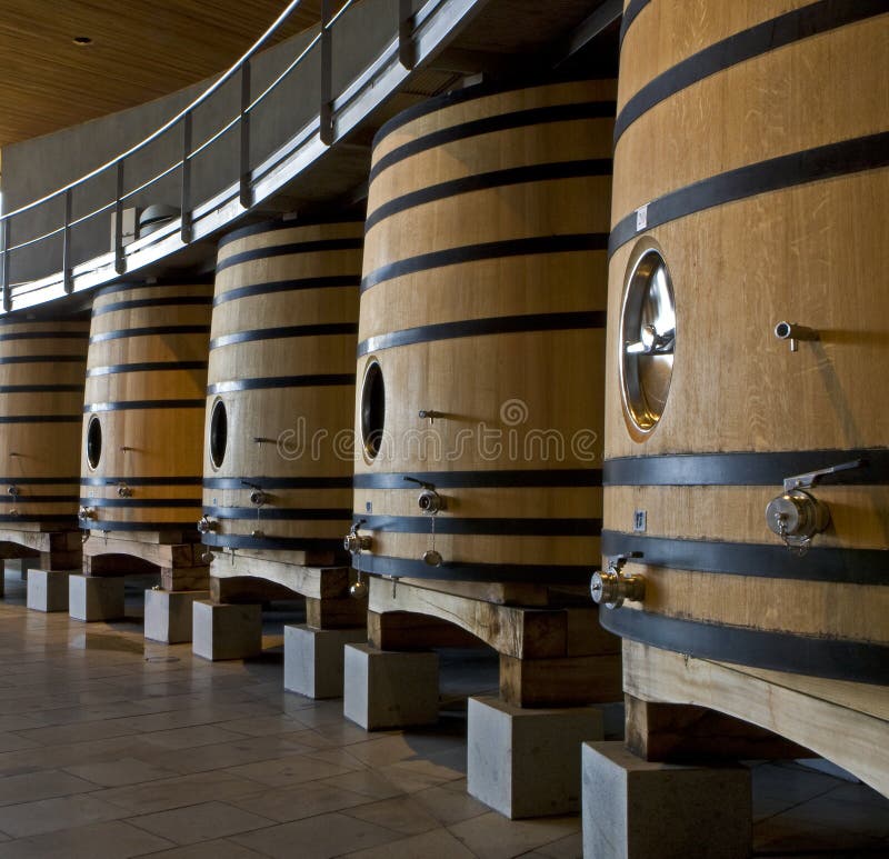 Winery barrels stock photo. Image of beverage, barrel - 39247678