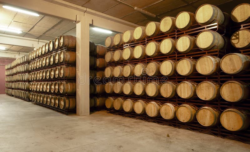 Wine Barrels in an Aging Cellar Stock Photo - Image of agriculture ...