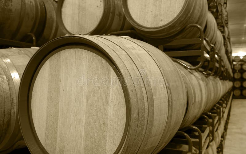 Wine Barrels in an Aging Cellar Stock Photo - Image of agriculture ...