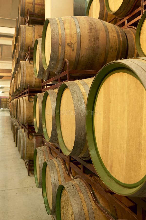 Wine Barrels in an Aging Cellar Stock Photo - Image of aging, wood ...