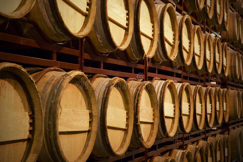 Wine Barrels in an Aging Cellar Stock Photo - Image of agriculture ...