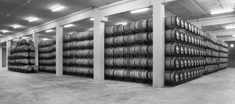 Wine Barrels in an Aging Cellar Stock Photo - Image of agriculture ...