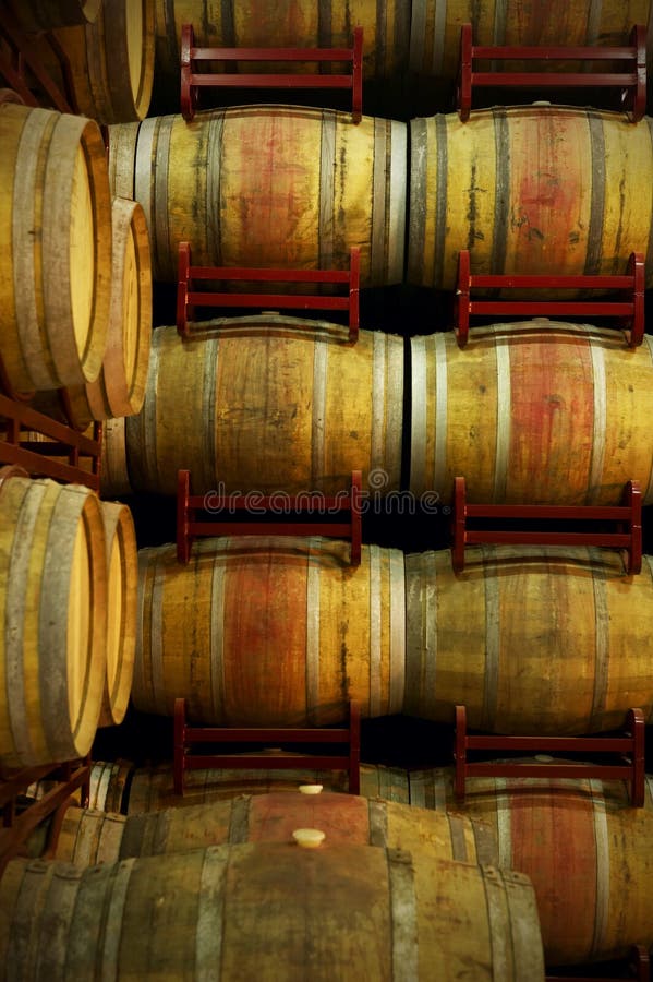 Wine Barrels in an Aging Cellar Stock Photo - Image of agriculture ...