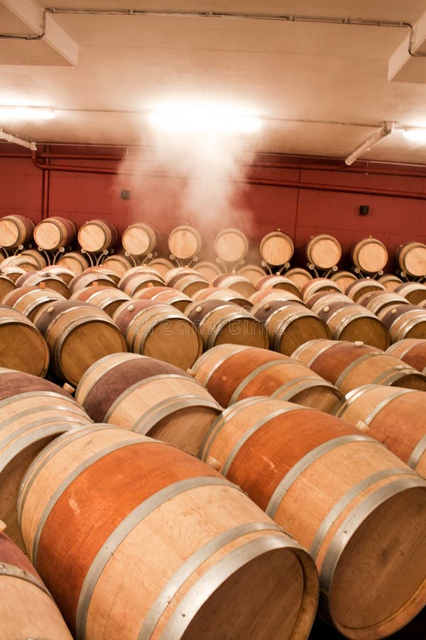 Wine Barrels in Cellar. Cavernous Wine Cellar with Stacked Oak B Stock ...