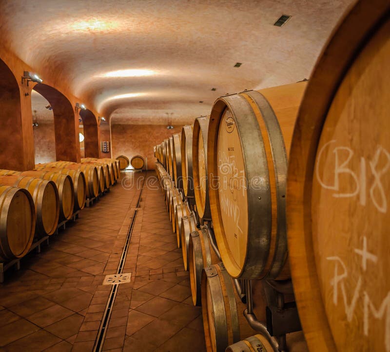 Wine Barrels in the a Wine Cellar. Wine Vault in an Italian Winery ...