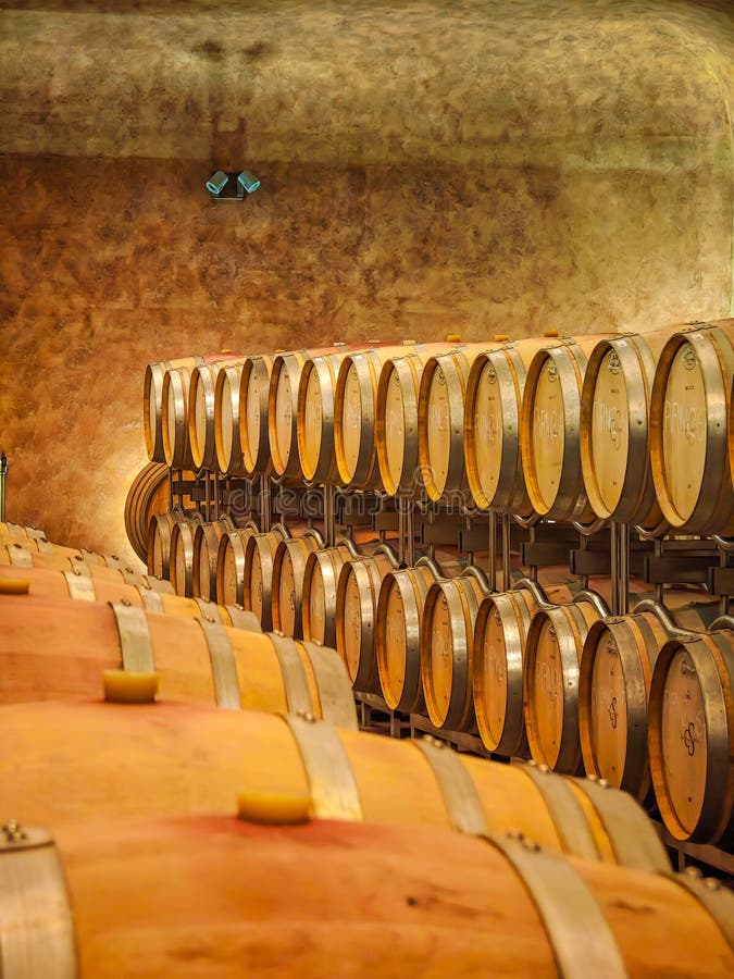 Wine Barrels in the a Wine Cellar. Wine Vault in an Italian Winery ...