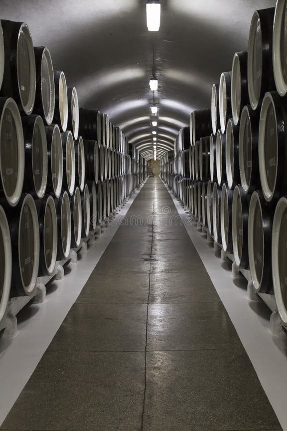Wine Barrels in the Cellars of Massandra Winery Stock Image - Image of ...