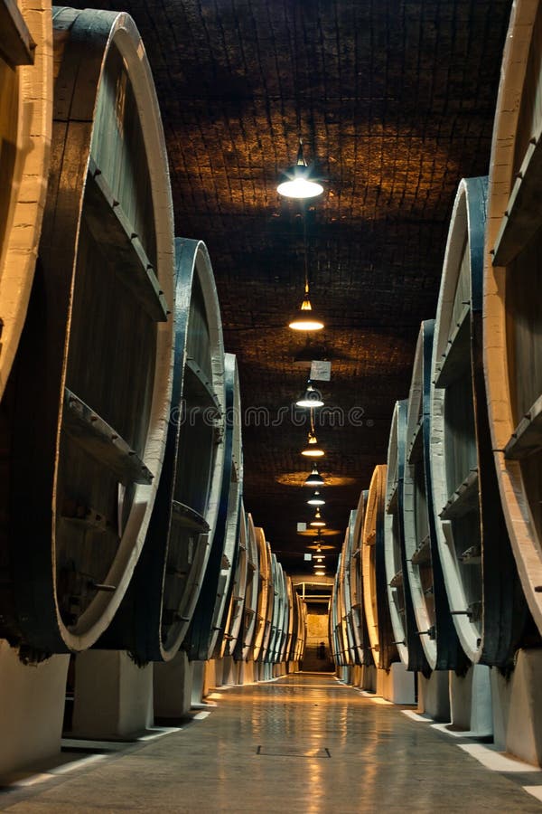 Wine Barrels in the Cellars of Winemakers Stock Image - Image of winery ...