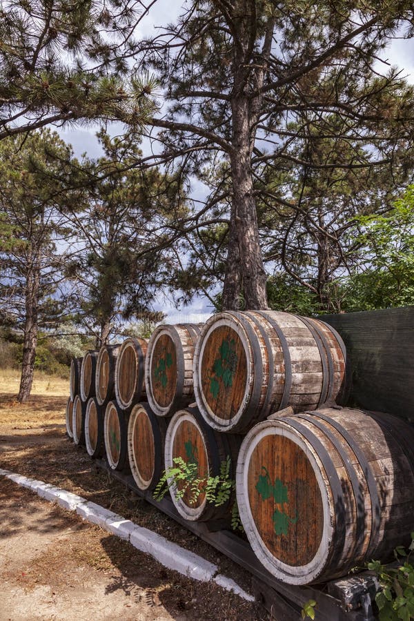 Barrels at an open storage stock photo. Image of barrel - 10021490