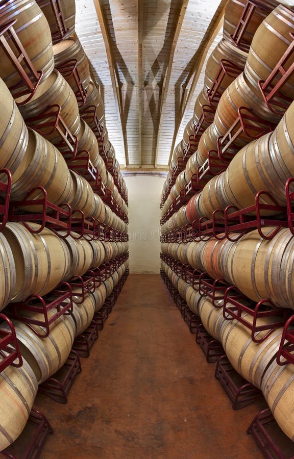 Wine barrels stock image. Image of underground, viticulture - 33041239