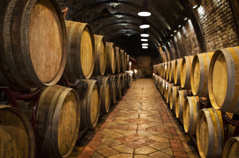 Wine Barrels in Wine-vaults in Order Stock Photo - Image of drink ...