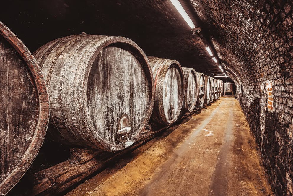 Wine Barrels in Wine-vaults in Order Stock Photo - Image of bunch ...