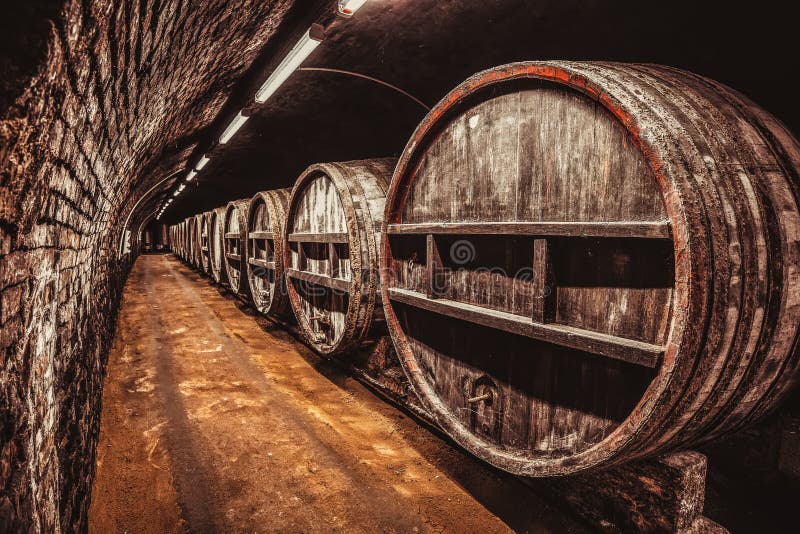 Wine Barrels in Wine-vaults Stock Photo - Image of alcoholic, container ...