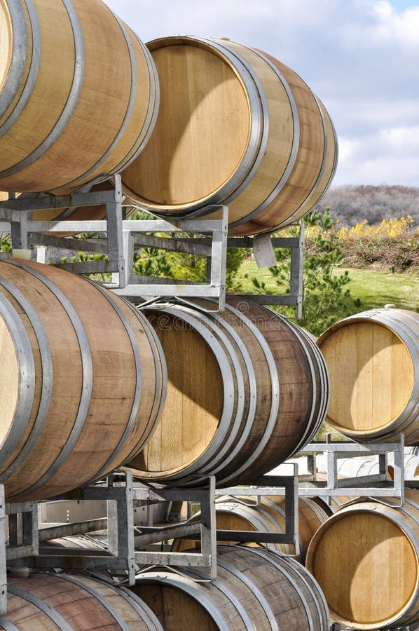 Wine barrels at vineyard stock photo. Image of vineyard - 30523546