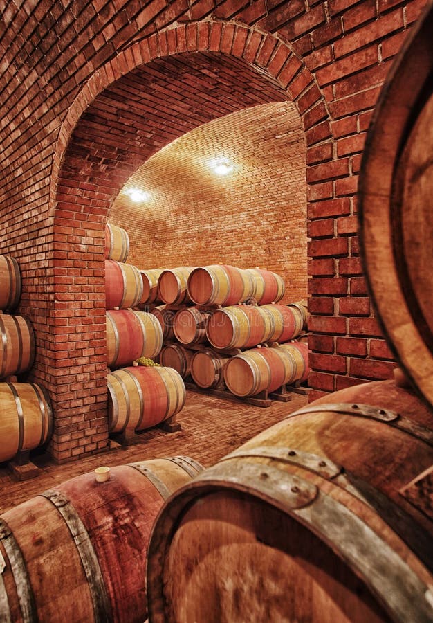 Wine barrels stock image. Image of alcoholic, basement - 118979435