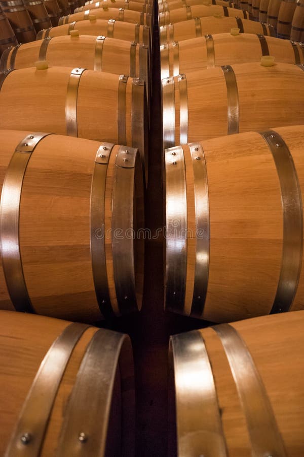 Wine barrels in wine-vault stock photo. Image of storage - 59986446