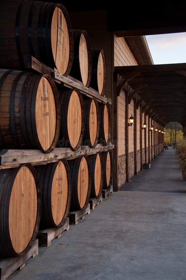 Wine barrels in winery stock photo. Image of indoors - 11771456