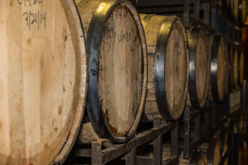 Wine or Beer Barrels in the Cellar Stock Photo - Image of organic ...