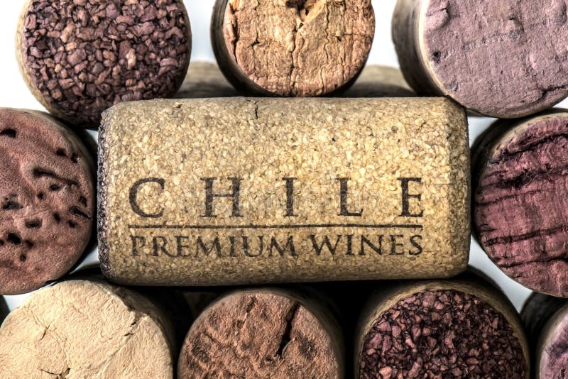 Wine Bottle Corks of Chile 08 Stock Image - Image of bordeaux, macro ...