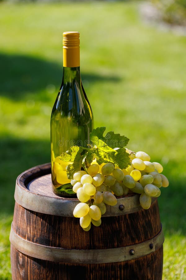 Wine Bottle and Grape on Barrel Stock Photo - Image of nature, outdoor ...