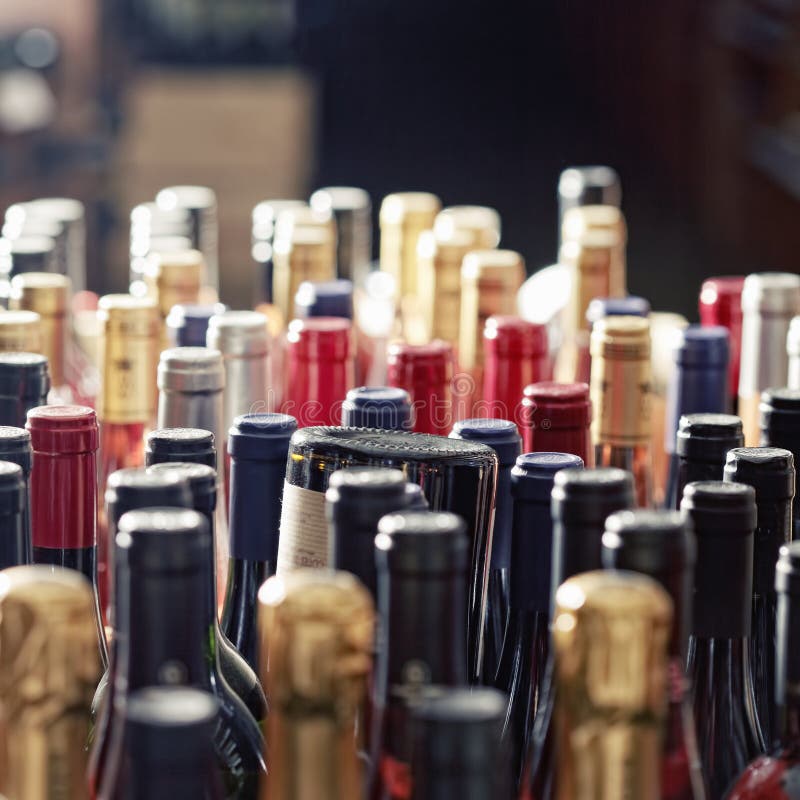 Many wine bottles stock photo. Image of still, bottle - 18932576