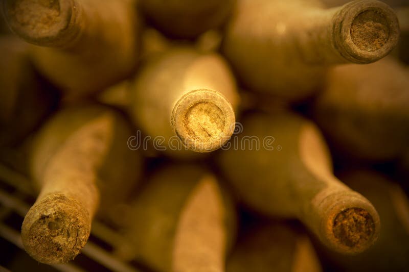 Wine Bottles in an Aging Cellar Stock Image - Image of compartment ...
