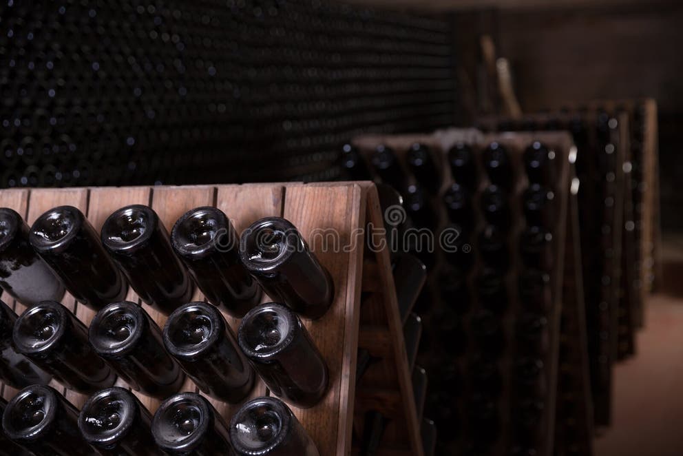 Wine Bottles on Racks in Wine Vault Stock Image - Image of excursion ...
