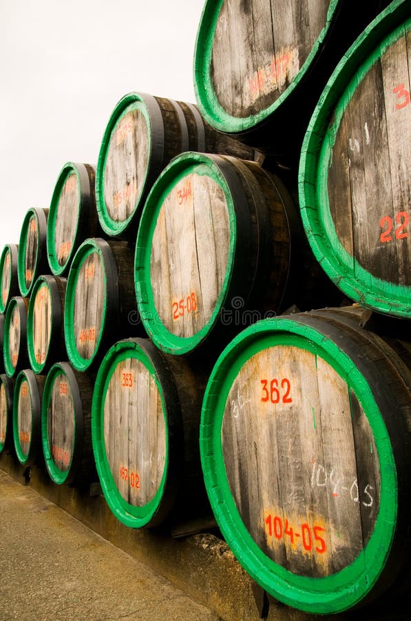 Wine casks stock photo. Image of wine, bottle, depository - 10330540
