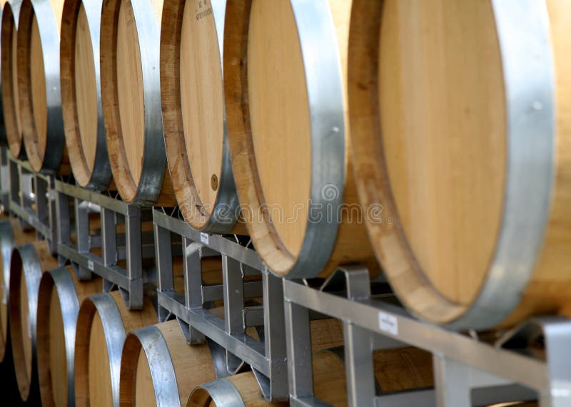 Wine Casks stock photo. Image of wood, cabernet, alcohol - 1282746