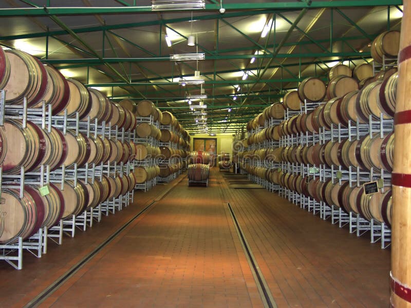 Wine casks stock photo. Image of town, objects, cape, wine - 9107146