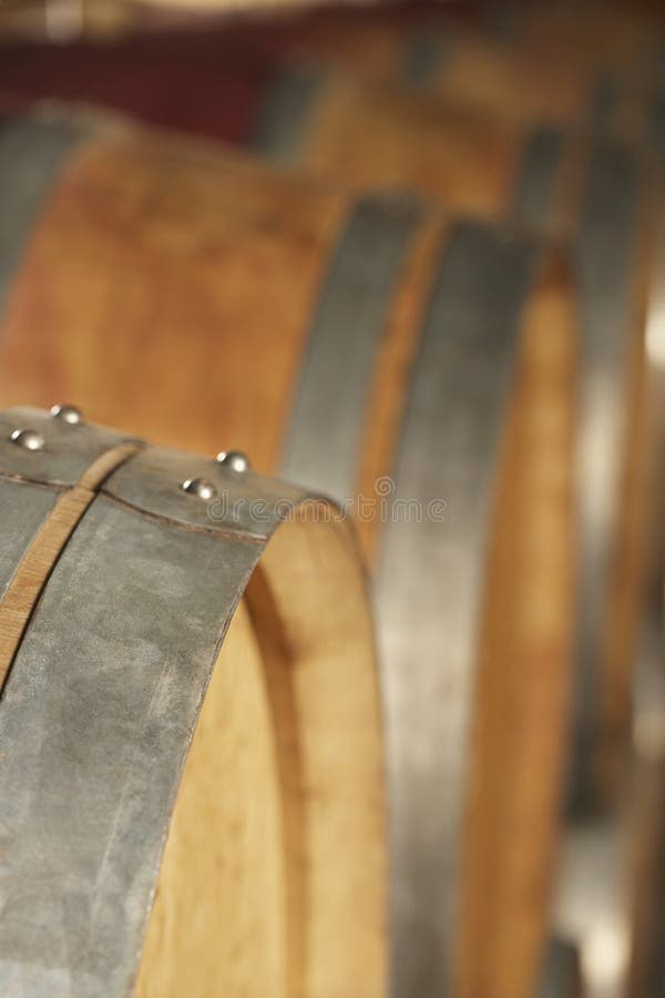Wine Casks in Cellar stock photo. Image of industrial - 33909396