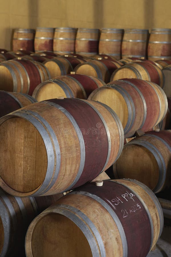 Wine Casks in Cellar stock photo. Image of drink, display - 33899582