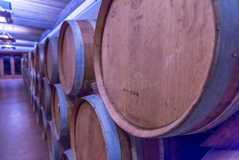 Wine casks with wine glass stock image. Image of alcohol - 54649763