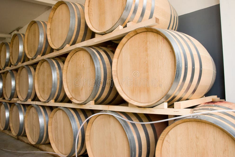 Wine cellar stock photo. Image of gunpowder, beer, wood - 5849096