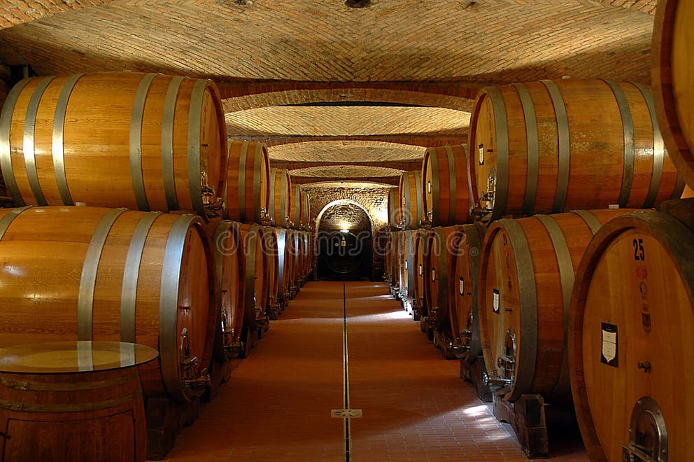 Wine cellar stock photo. Image of cellar, barrels, vine - 926478
