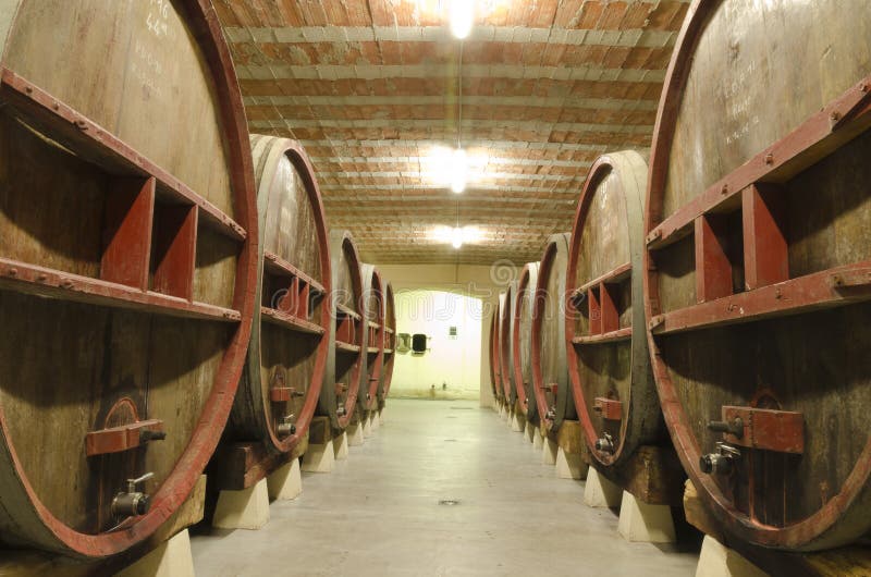 Wine cellar in perspective stock photo. Image of cellar - 26428718