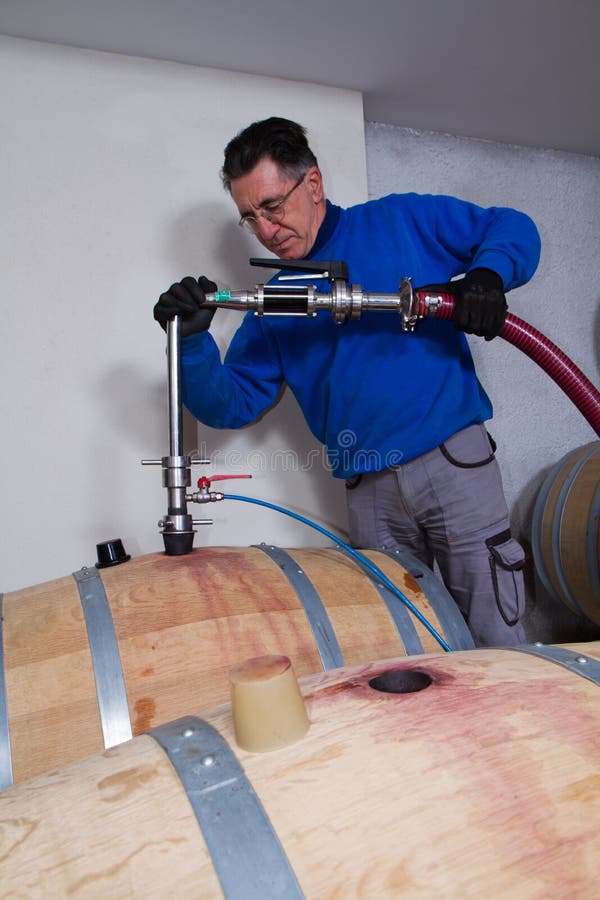 Wine cellar wine maker stock image. Image of sealed, beverage - 92018395